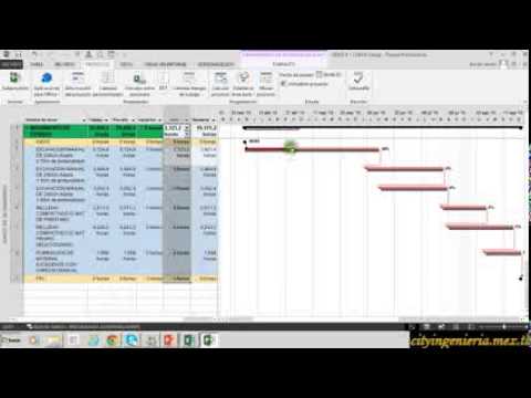 Ms Project 2013: Curva S - YouTube