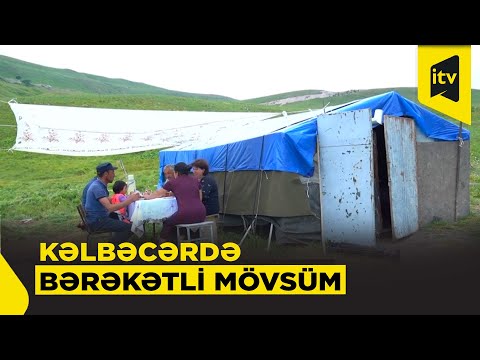 Kəlbəcər yaylaqları: köç yolları, çoban səsi, bərəkət qoxusu