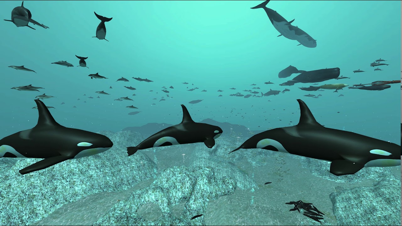 Deepsea Exploration, Kids diving with dolphins, whales, sperm whales ...