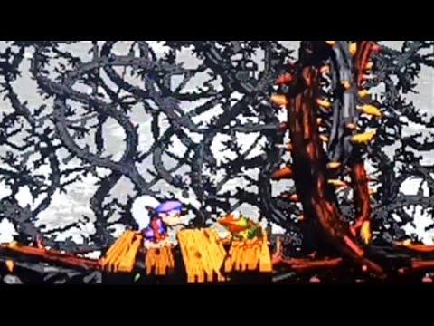 Spoiler: DKC2 Unveiled Winky Secret Easter Egg - YouTube