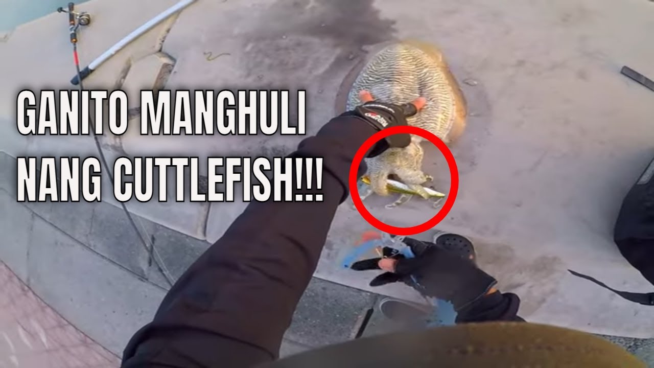 CAUGHT CUTTLEFISHES EASILY USING LURE | HOW TO CATCH CUTTLE FISH USING ...