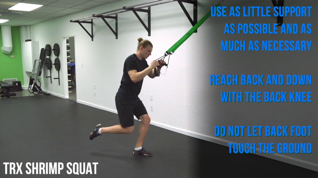 TRX Shrimp Squat - YouTube