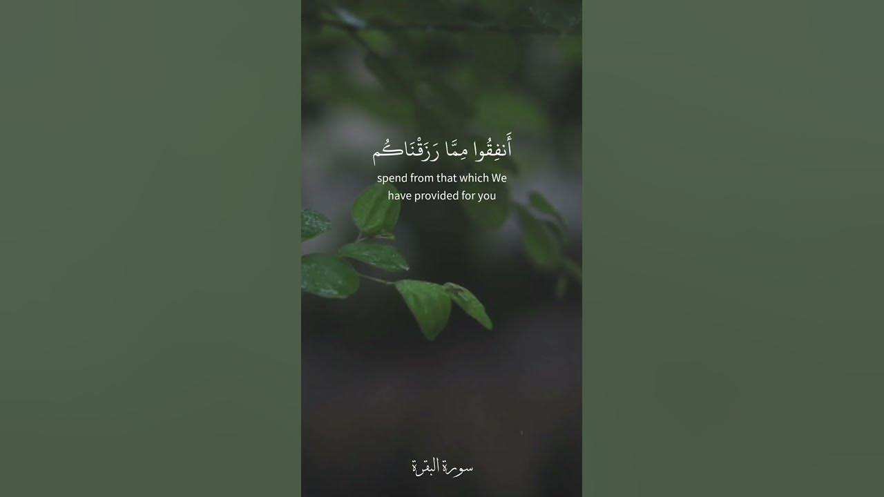 ياأيها الذين آمنوا أنفقوا مما رزقناكم من قبل أن يأتي يوم لا بيع فيه