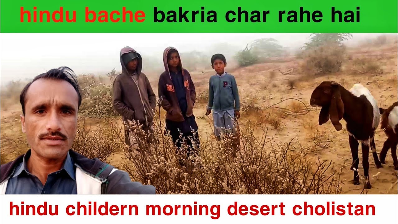 Desert mornig wesetnig| registan thar parkar| rohicholistan desert ...