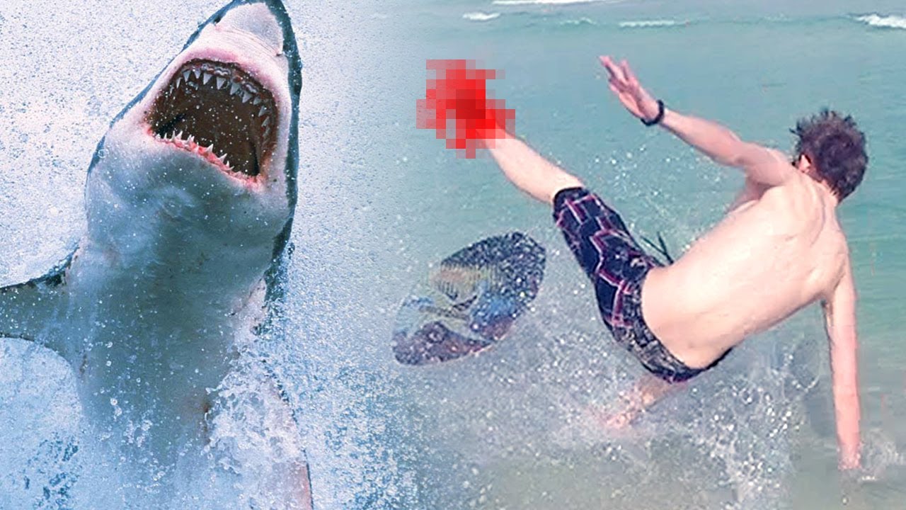 BRUTALE SURF-FAILS in Miami - YouTube