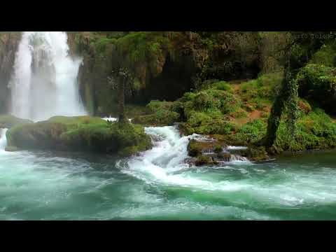 Doğuş ŞENOĞLU - dallarımı kırdılar