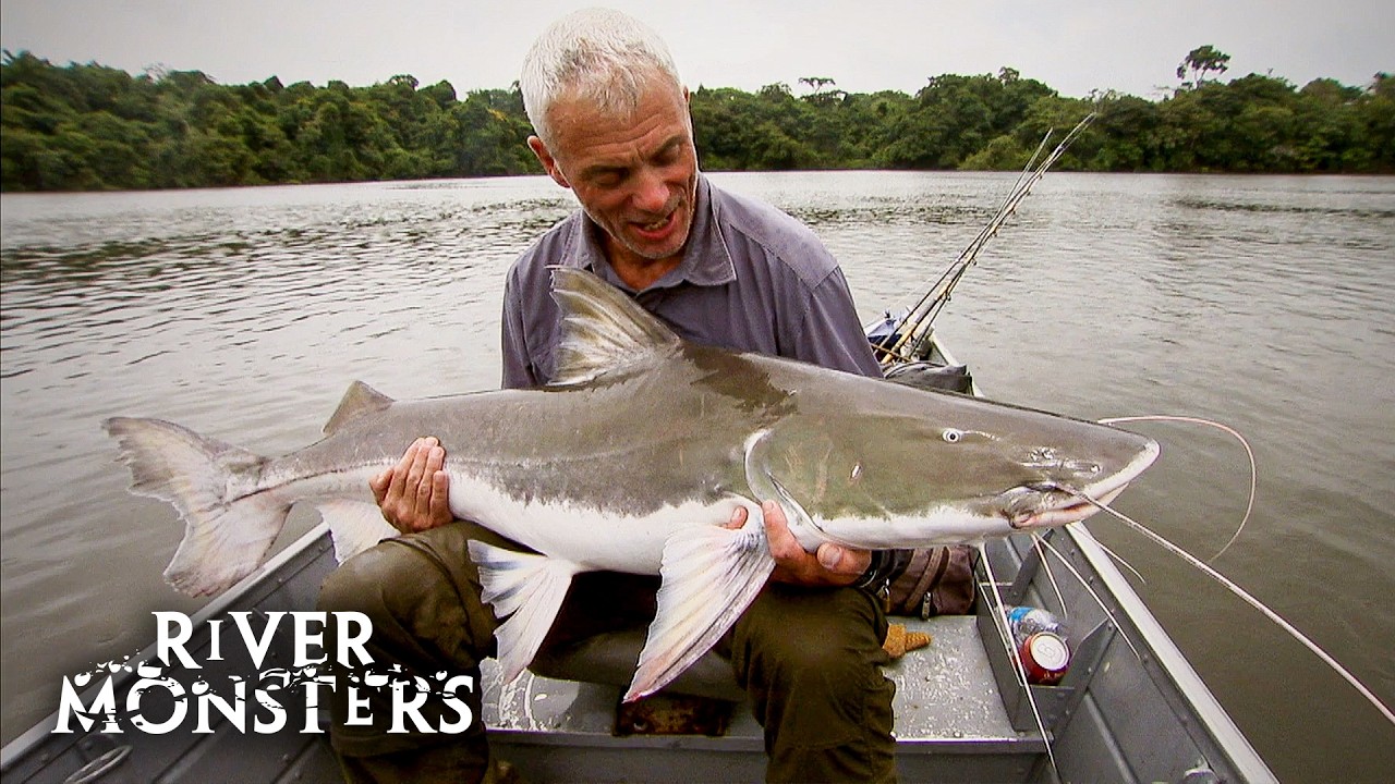 River Monsters Full Episode - Season 1, Episode 5 - Amazon Flesh Eaters ...