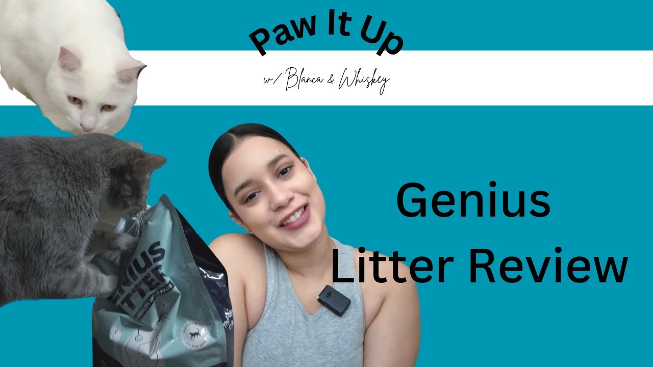 Genius Litter Review - YouTube