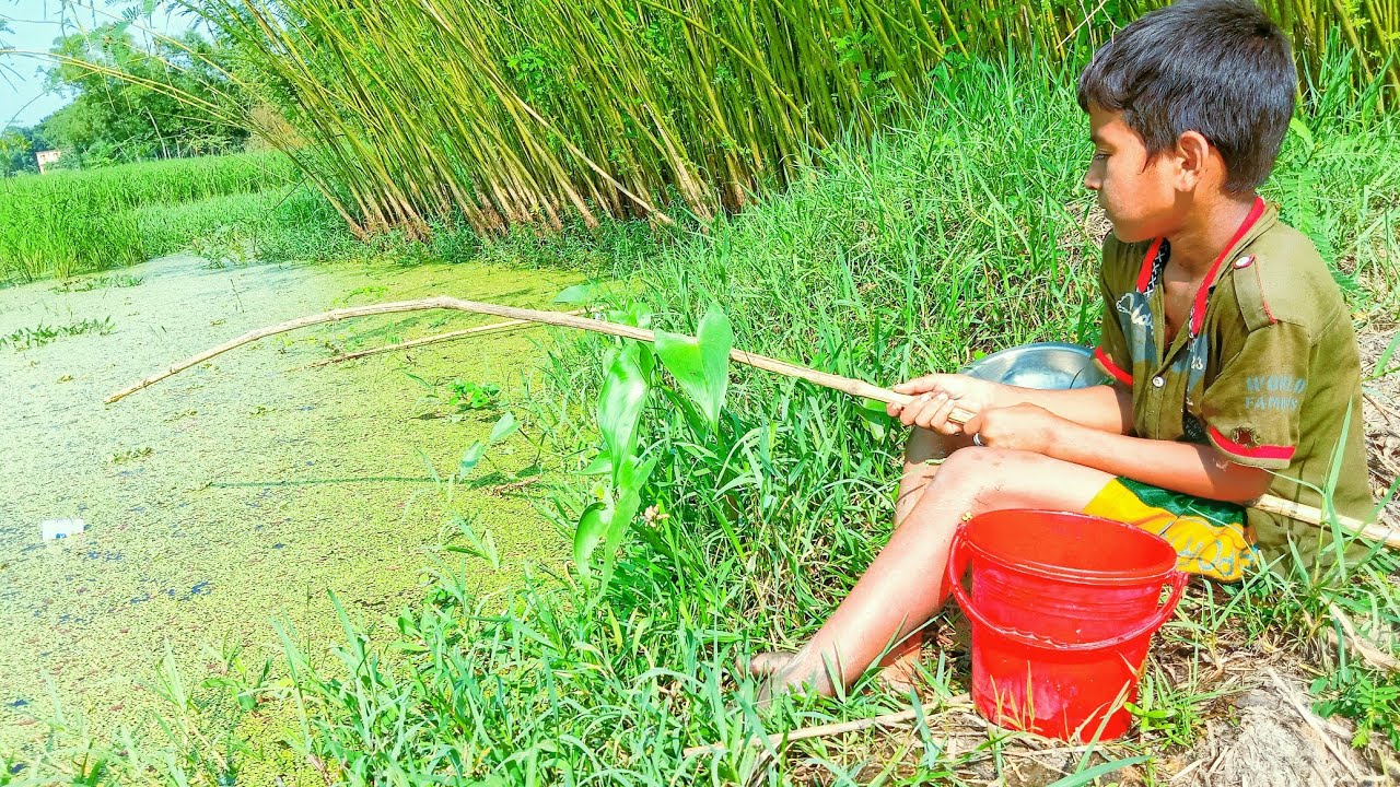 Amazing boy fishing video || Video of village boy fishing with hook on ...