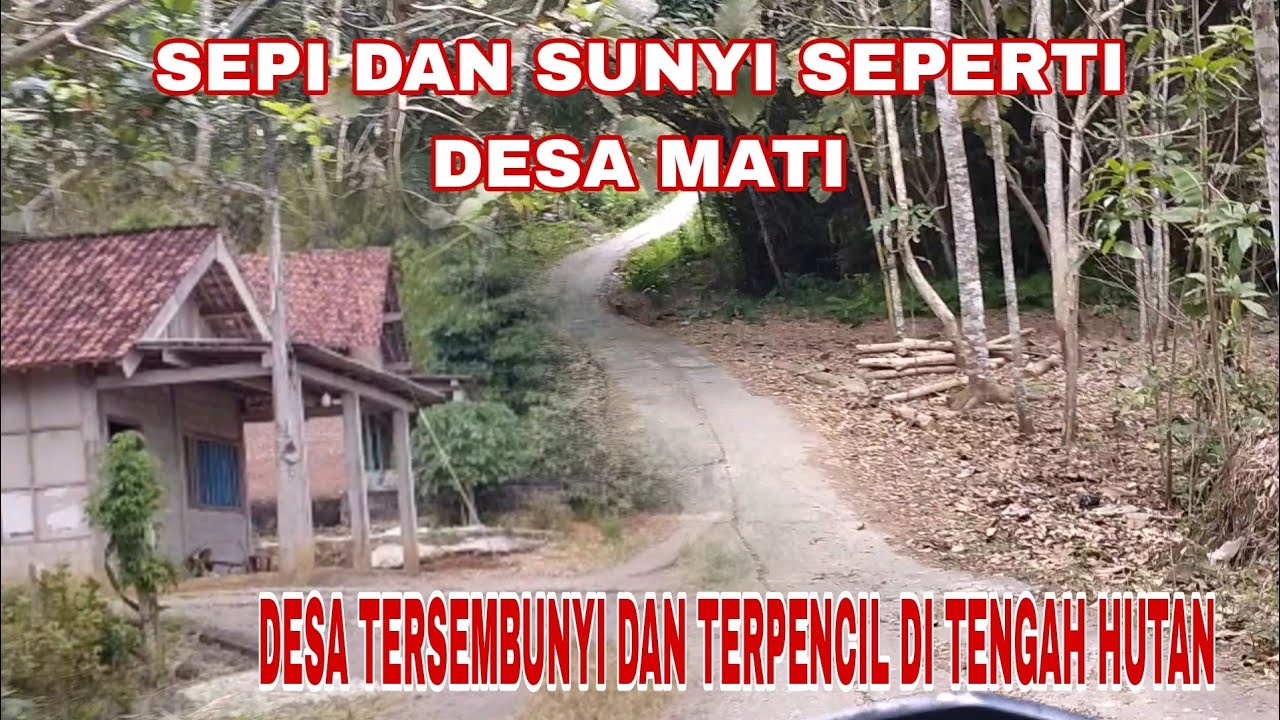 SEPI SUNYI !!! Desa Tersembunyi Dan Terpencil Di Tengah Hutan ...