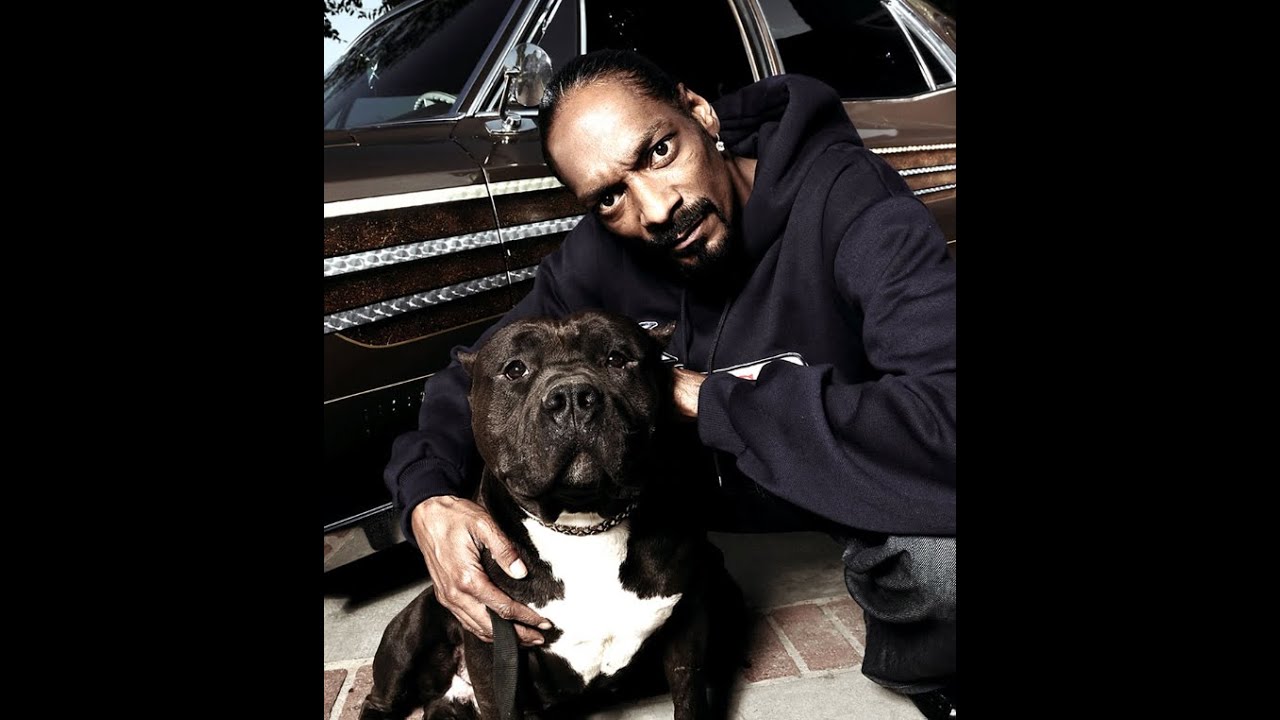 Snoop Dogg - Gz and Hustlas[Napisy PL] - YouTube