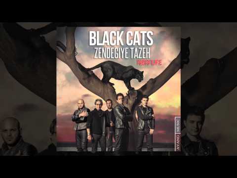 Black Cats - Zendegiye Tazeh OFFICIAL TRACK