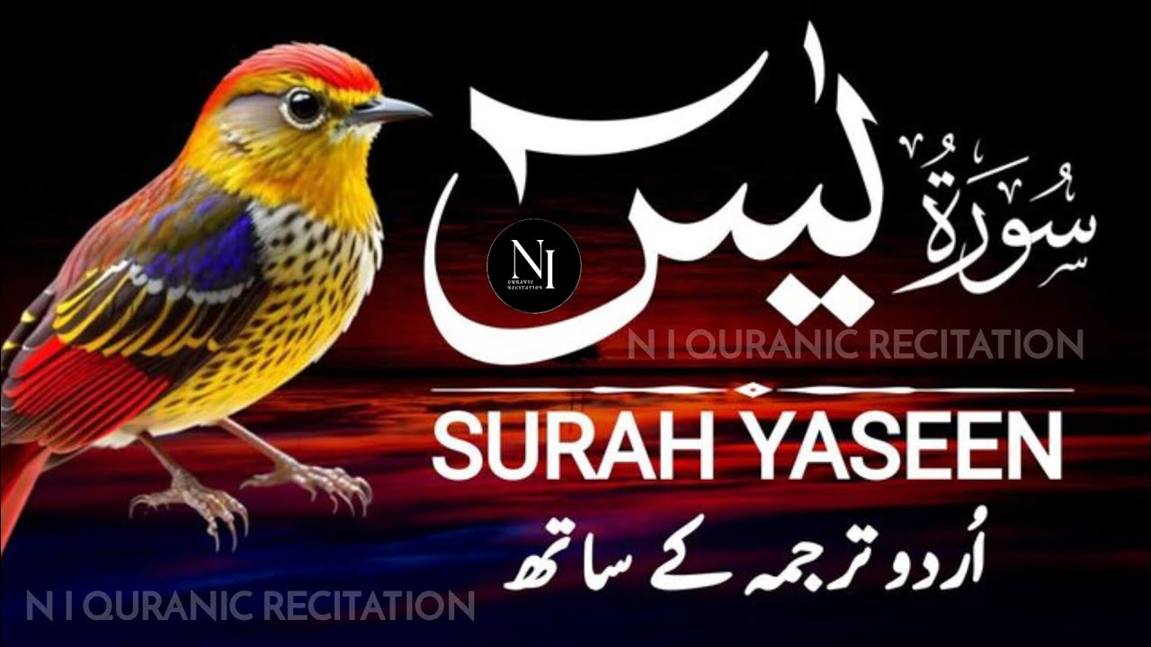 Yasin Sharif | N I QURANIC RECITATION BY YASEEN SHARIF ️ - YouTube