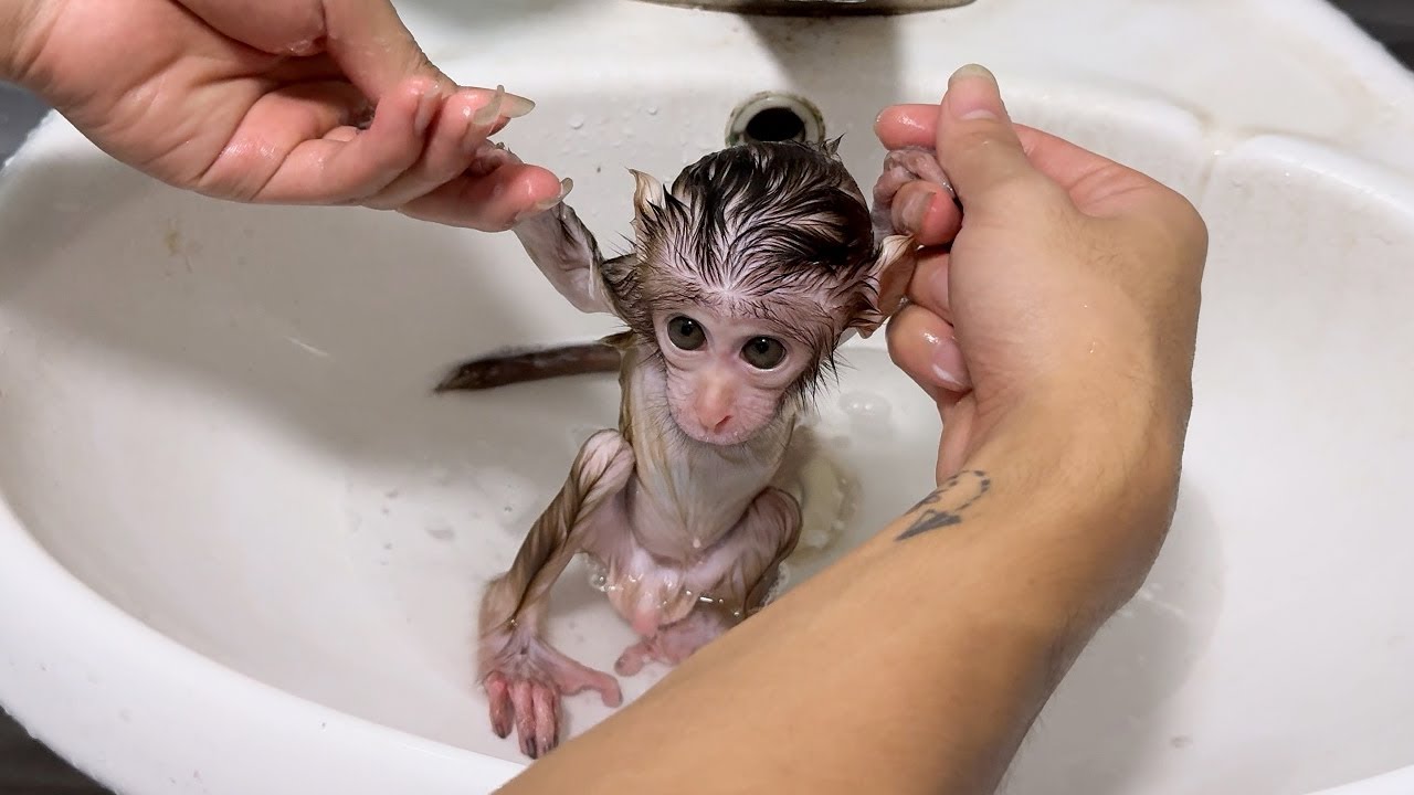 A day of lovely baby TunTun🐵 Bath - Eat - Sleep - YouTube