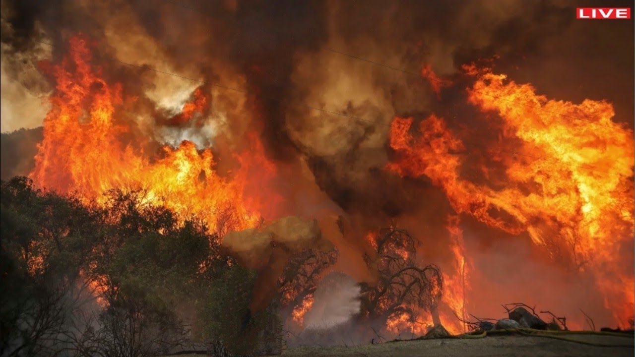 Usa Panic: Yellowstone Volcano's Massive Eruption Causes Panic for ...