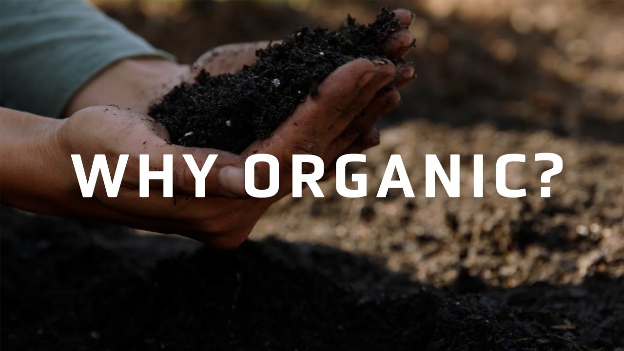 The Benefits of Organic Gardening: Promoting a Balanced Ecosystem - YouTube
