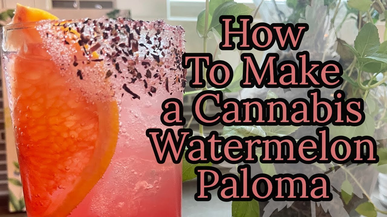 How To Make a Cannabis Infused Watermelon Hibiscus Paloma - YouTube