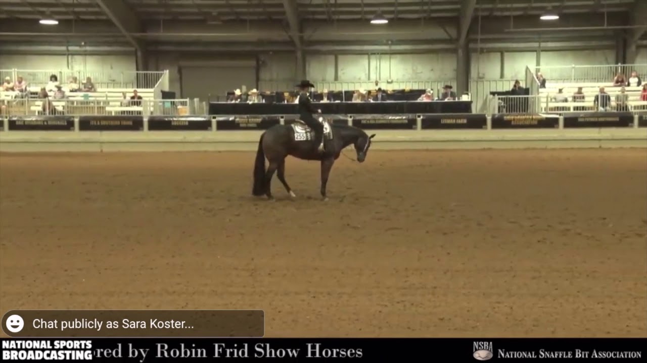 Invious Mister and Sara Koster, NSBA world show Amateur horsemanship ...