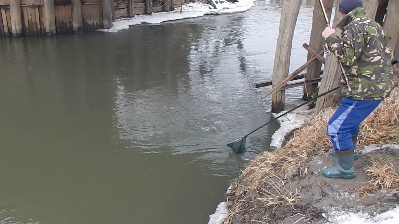 Un scobar frumos - YouTube