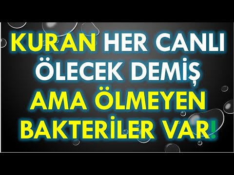 KURAN: HER CANLI ÖLECEK. BİLİM: ÖLÜMSÜZ BAKTERİ VAR. (CELAL ŞENGÖR)