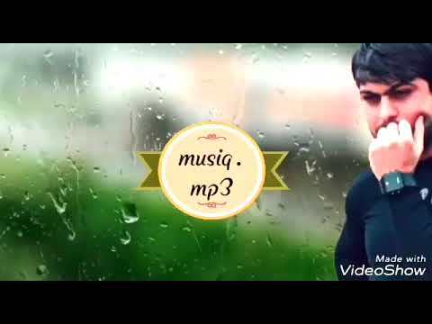 Avara tərtərli_059