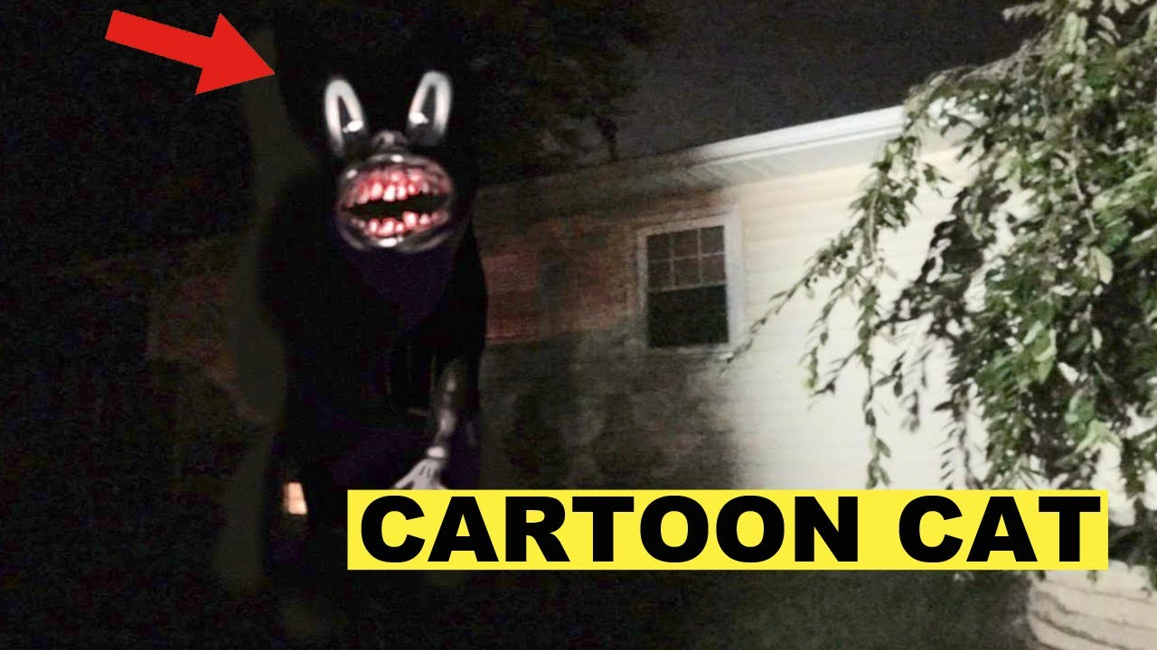 5 echte CARTOON CATS - aufgenommen auf KAMERA!! - YouTube
