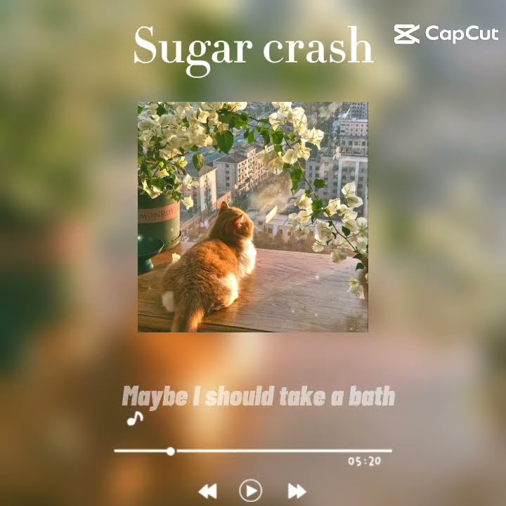 sugar crash :) - YouTube