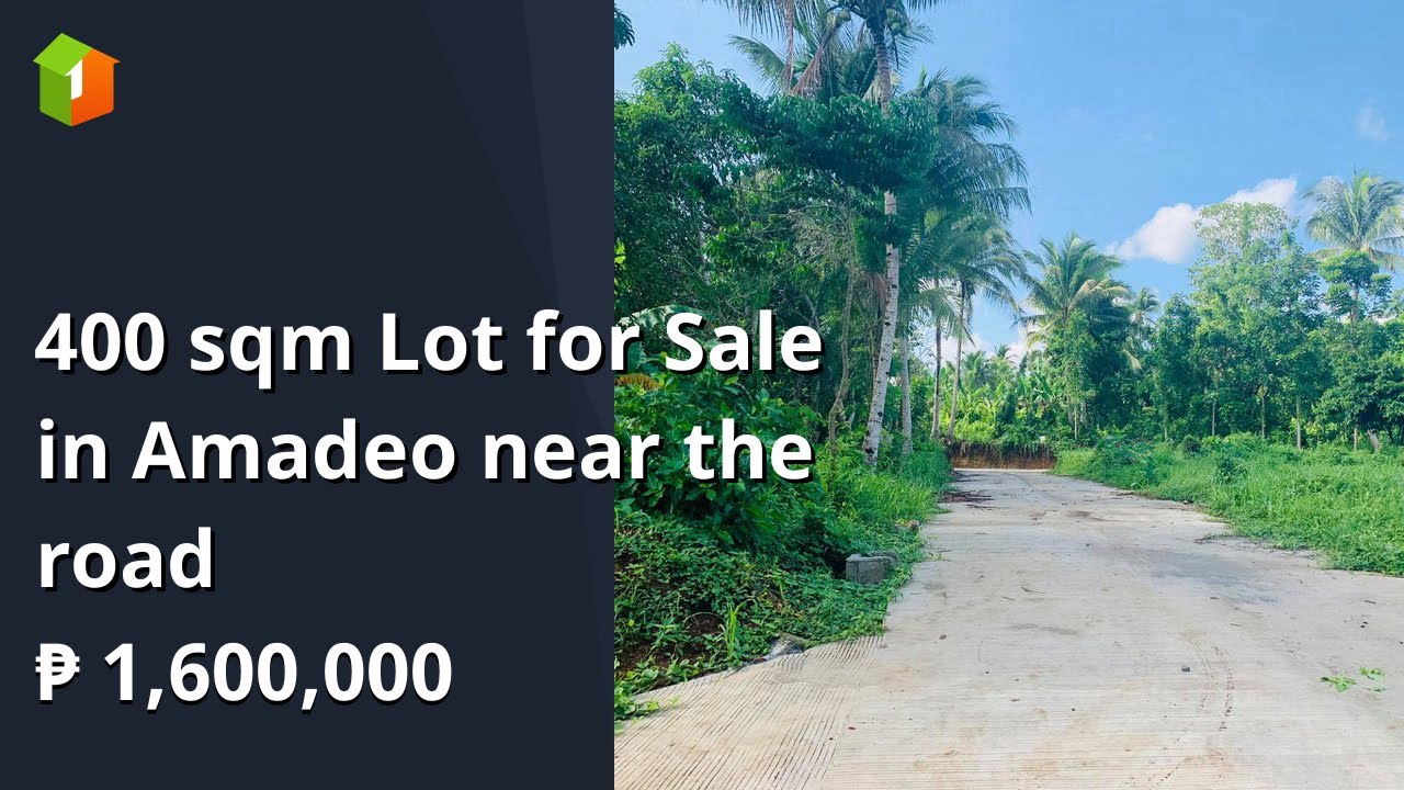400 sqm Lot for Sale in Amadeo near the road - YouTube