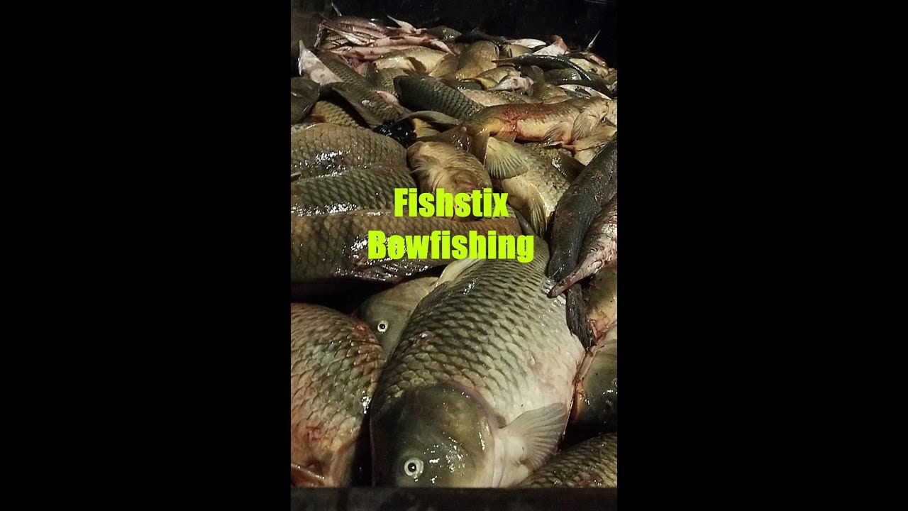 Rpm Nitro Bowfishing Bow Hydrodip Rebuild - YouTube