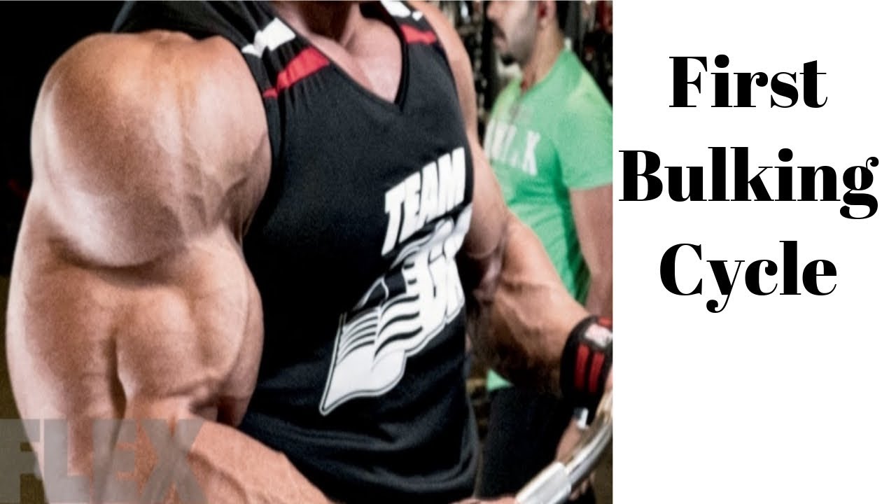 First Bulking Cycle for Beginners - YouTube