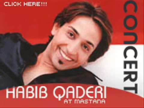 afghani Habib Qaderi - Lab Lab Joybar by zubair.flv
