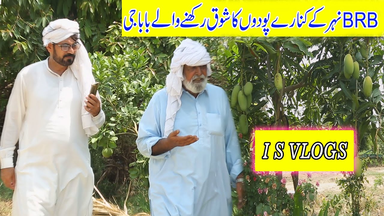 BRB Nehar Kenare Podun ka shoqeen | IS Volgs | #vloging #vilaalpina # ...