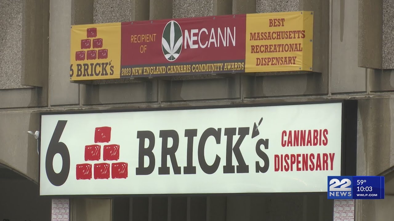 6 Bricks Cannabis celebrates one year of operation - YouTube