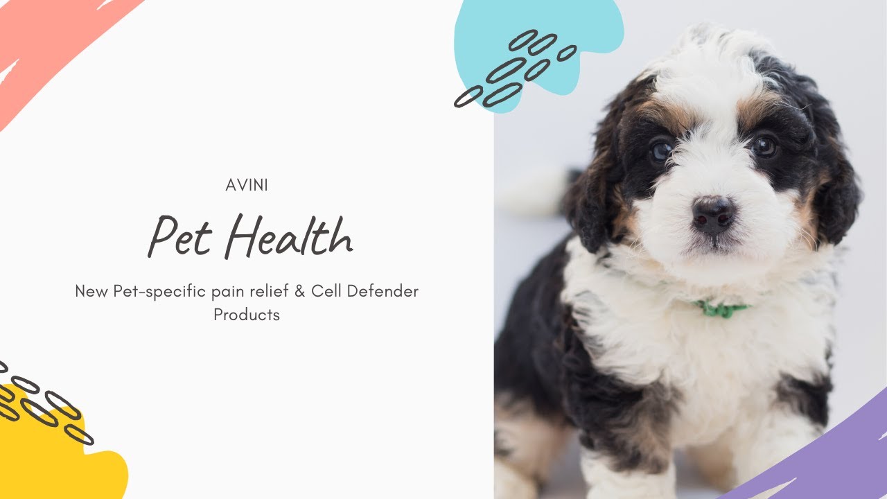 Rik Deitsch: Pet Health - YouTube