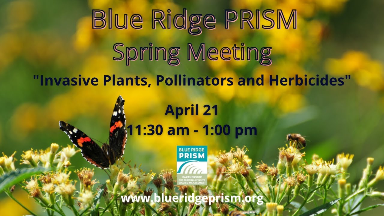 Blue Ridge PRISM Spring 2022 Meeting: Invasive Plants, Pollinators and ...