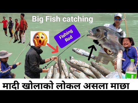 Amazing fishing madi river💫! बल्छी खेल्दा असला माछा fishing Nepal 🇳🇵 ...