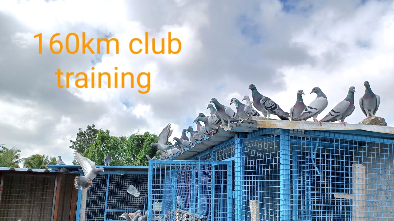 160km club training | MHPS-Club | 9845245728 | Homer Racing ...