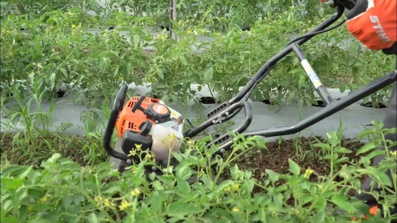 STIHL POWER WEEDER BC 230 - YouTube