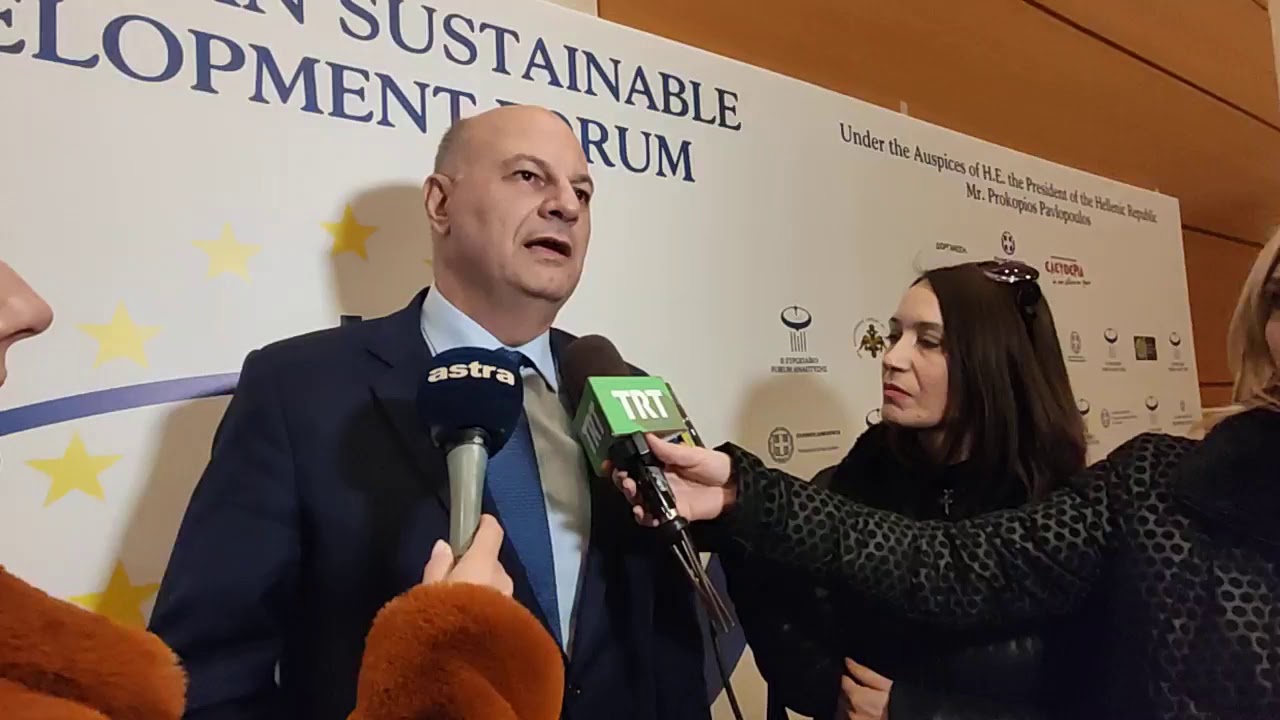 Ο Κώστας Τσιάρας στο 2ο Ευρωπαϊκό Φόρουμ Ανάπτυξης - YouTube