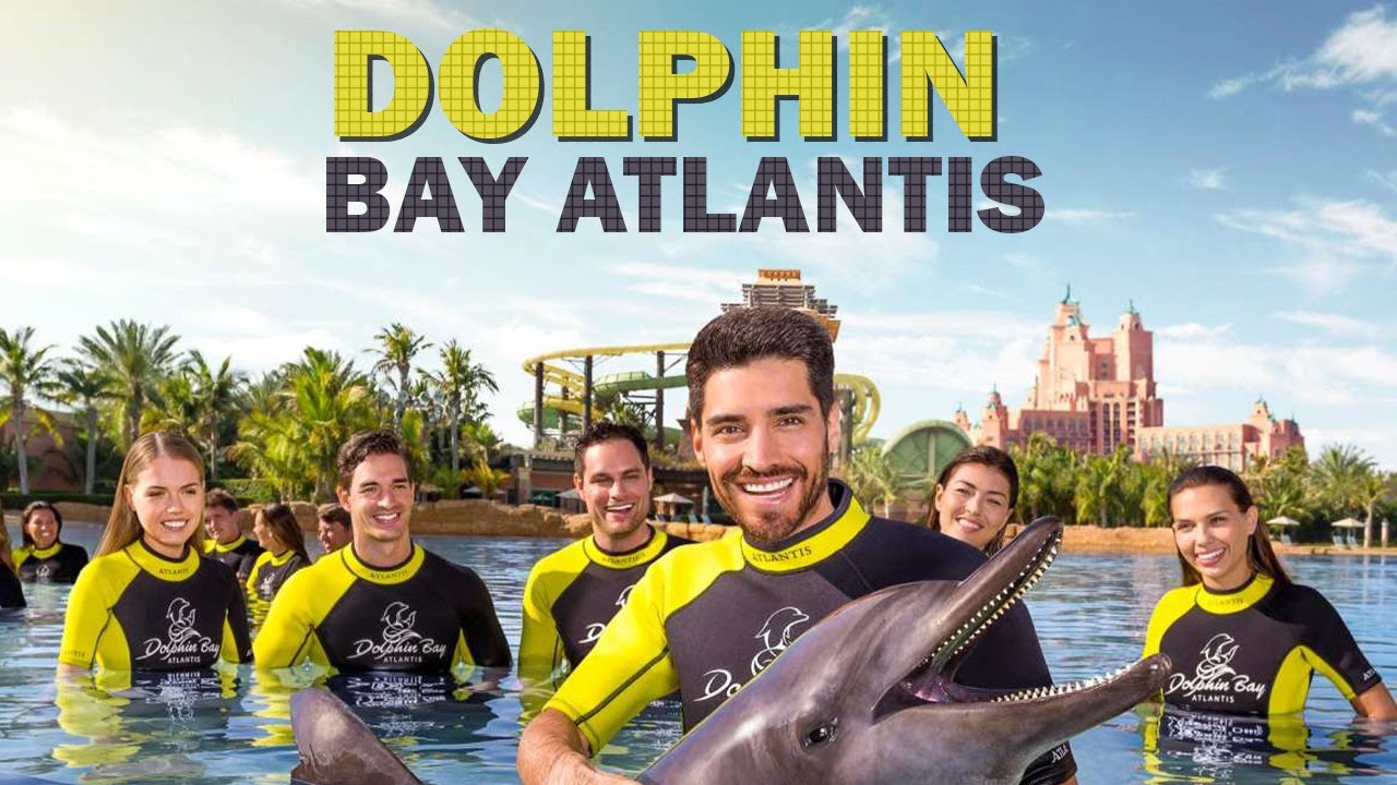 DOLPHIN PLAY in Dubai/ Play with Dolphins at Atlantis the Palm! - YouTube