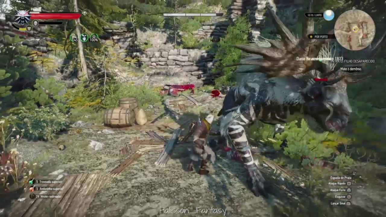 The Witcher 3: Wild Hunt - Contrato Filho Desaparecido - Morvudd - YouTube