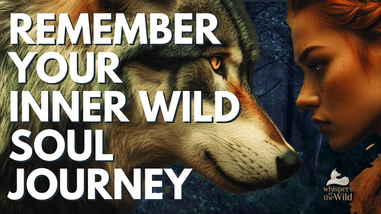 REMEMBER YOUR INNER WILD | Empowering Meditation for SOUL JOURNEY - YouTube