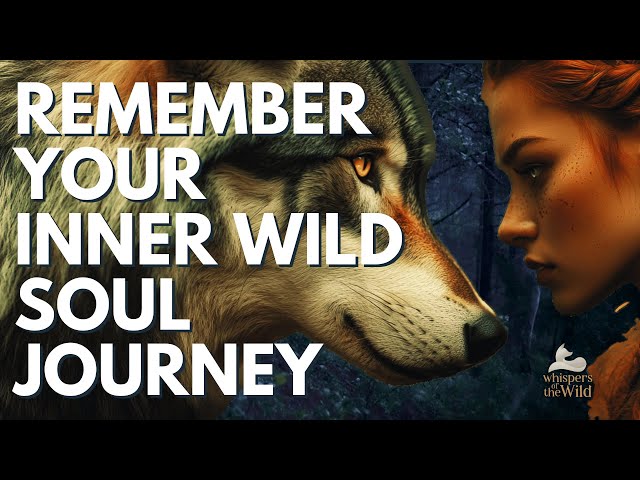Inner Wild Quotes Inner Wild Sisterhood | Can We Stand Still And