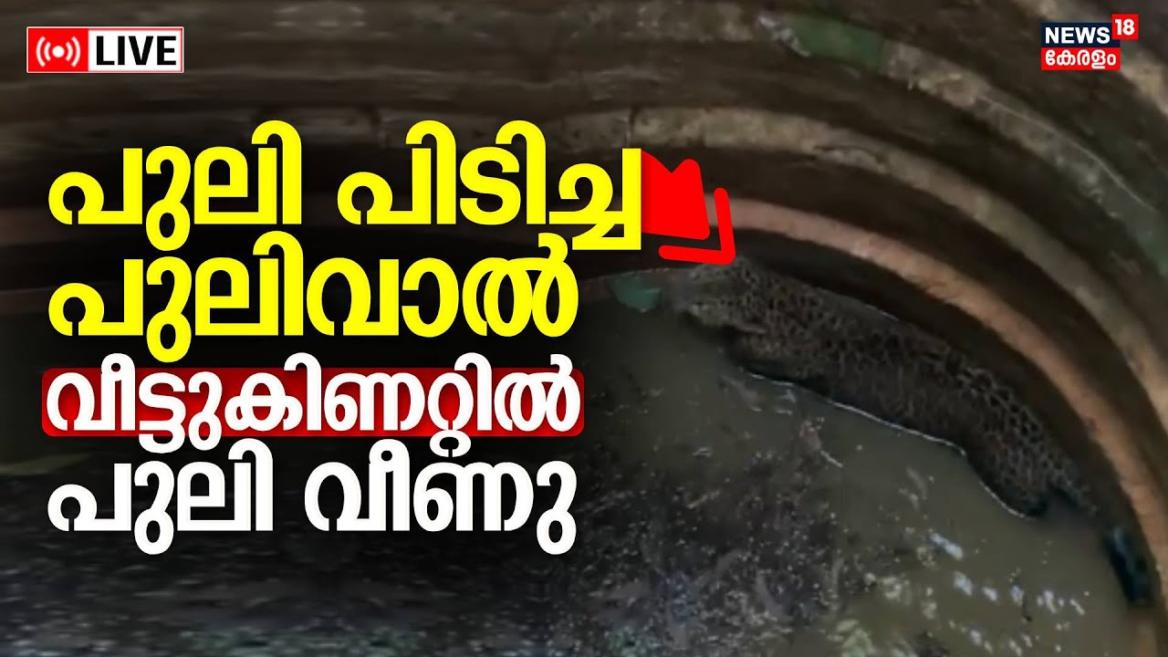 LIVE | Leopard Falls Into Well In Kannur | Wild Animal At Village ...