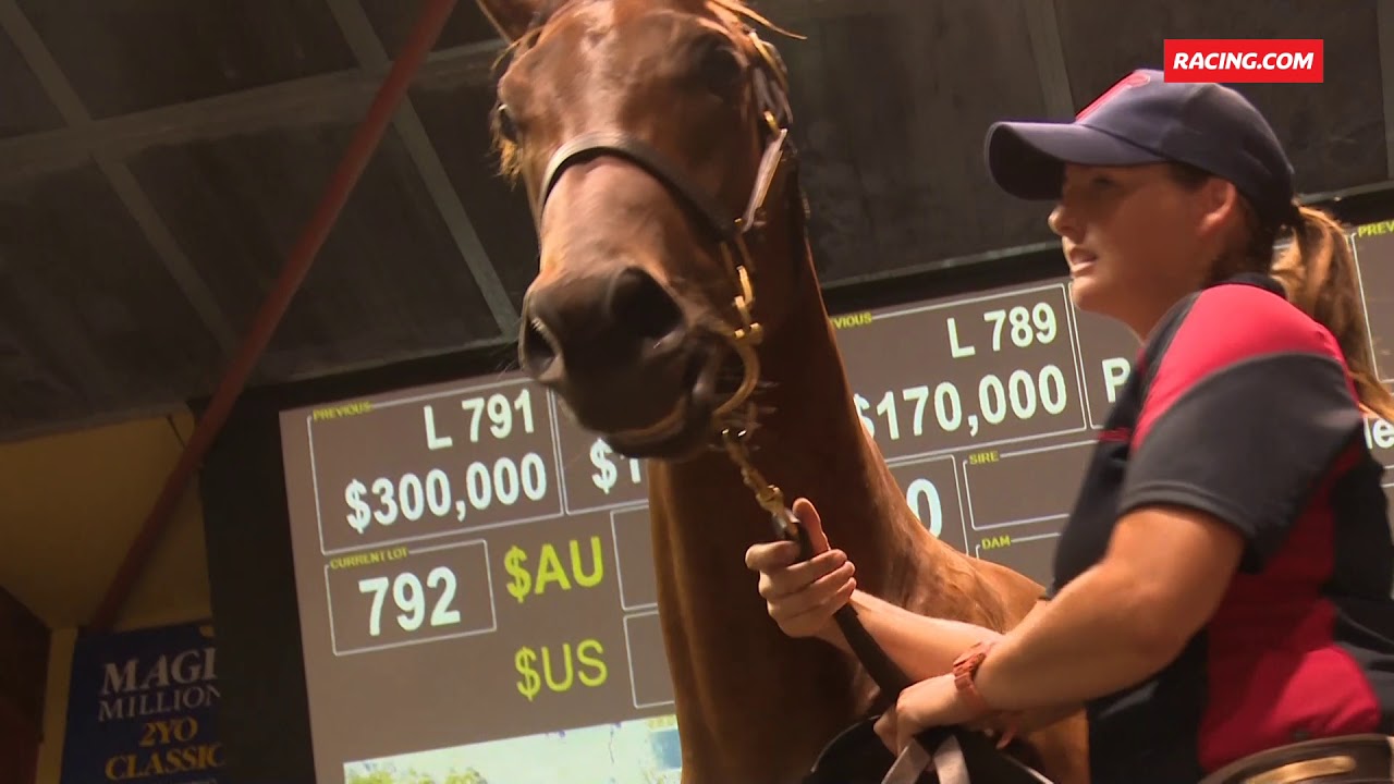 2018 Magic Millions Gold Coast Yearling Sale - Book 1 wrap - Post Day 4 ...