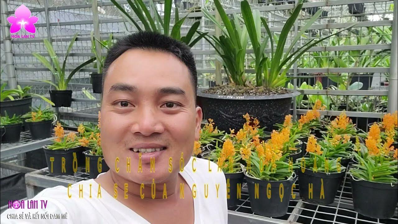 Nguyễn Ngọc Hà Trồng Chăm Sóc Lan Hỏa Hoàng Vienmansongtv Youtube