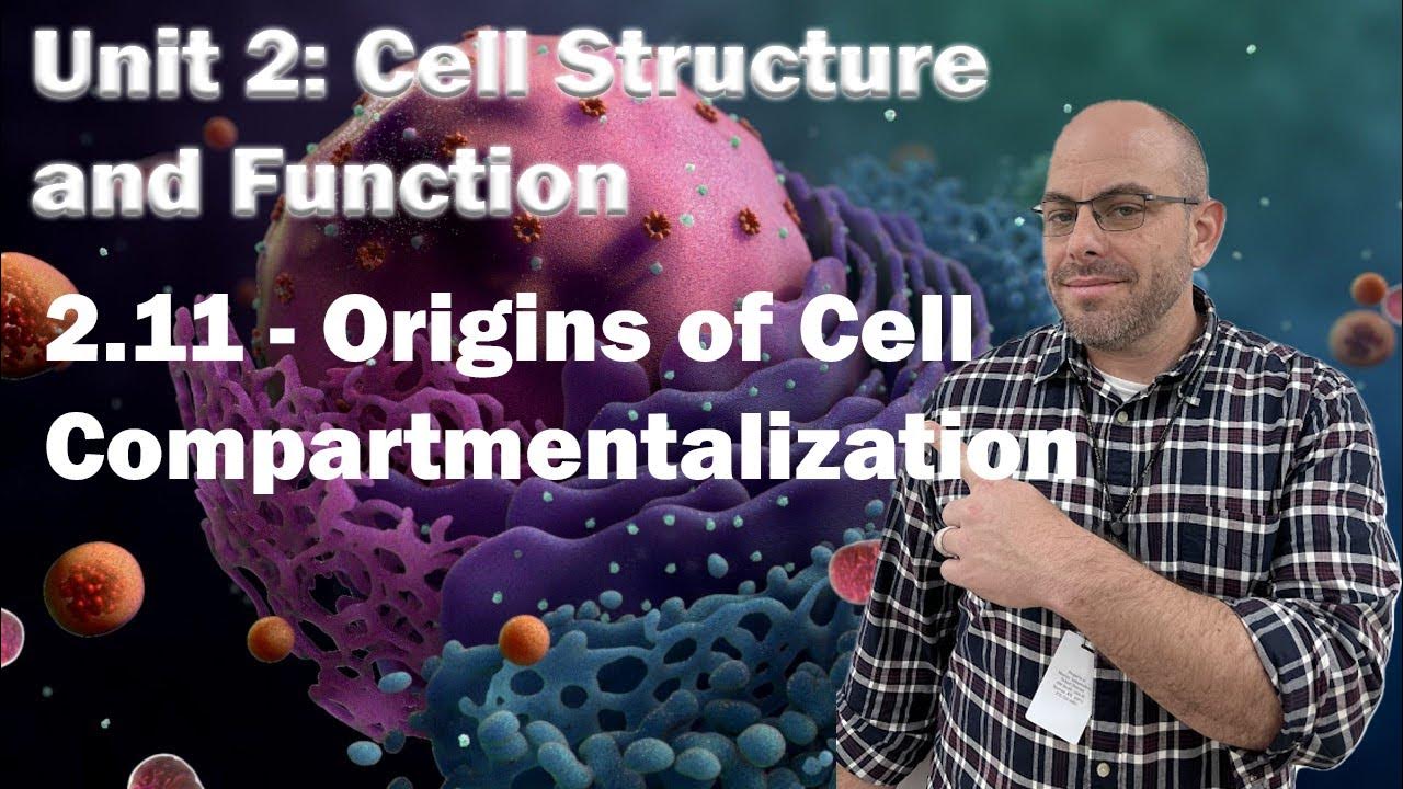 AP Bio Unit 2 - 2.11 - Origins of Cell Compartmentalization - YouTube