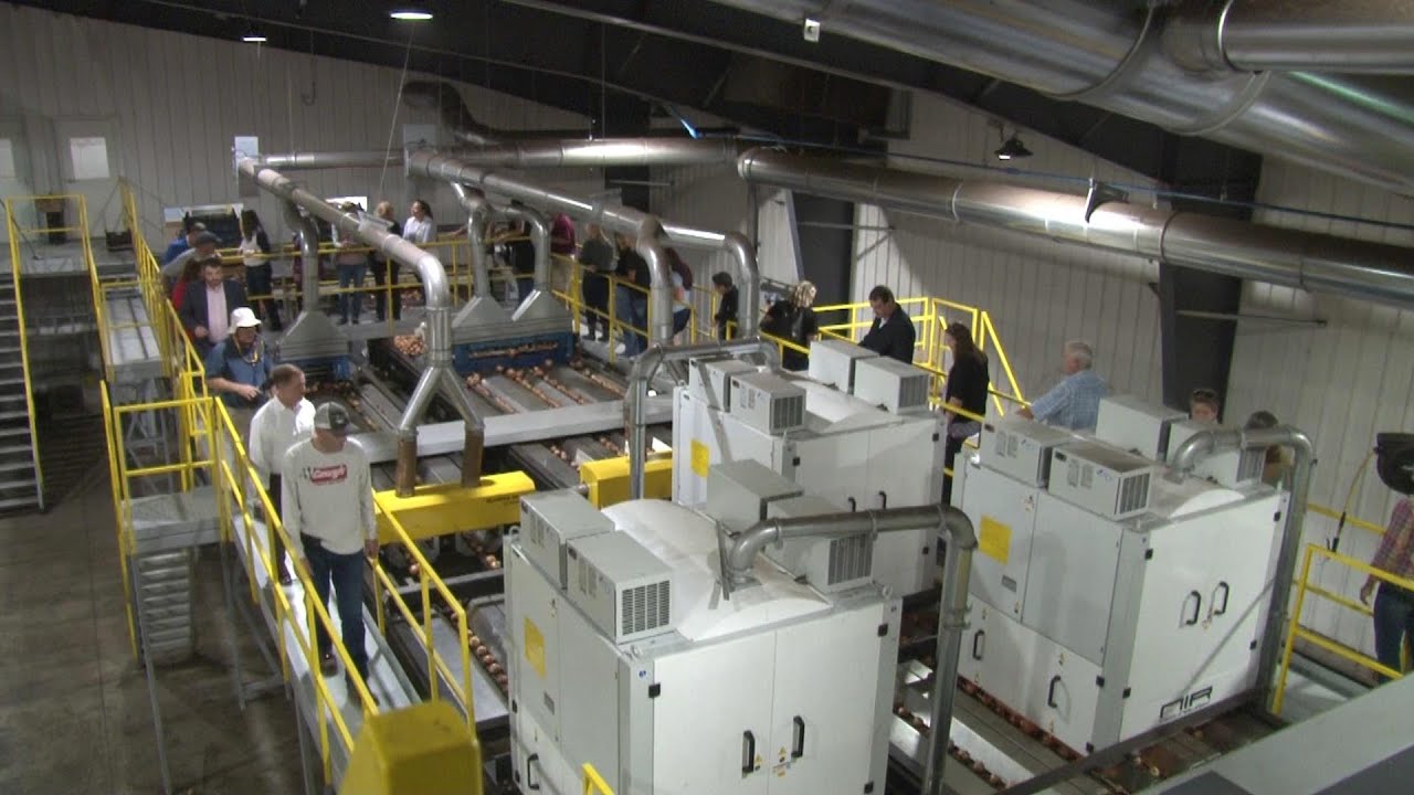 GENESEE COUNTY/Big O Farms provides a tour of their one-of-a-kind onion ...