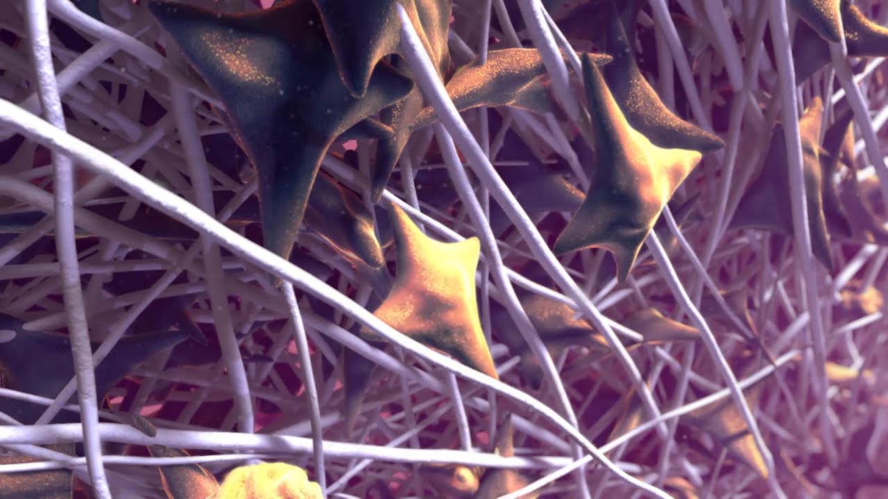 Biostage Cellframe Technology Animation - YouTube