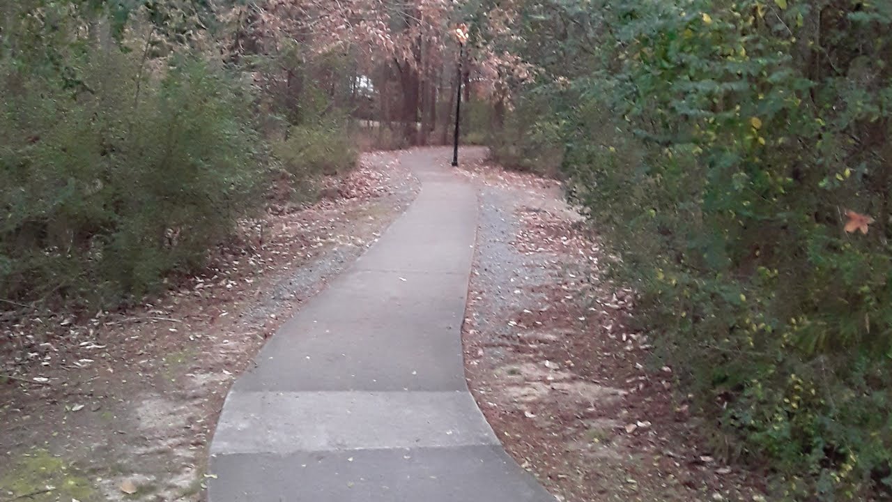 wendygp/scp forest part 1 - YouTube